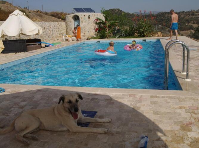 Eco Farm Boutique Hotel - Turgutreis