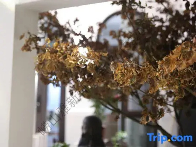 Yaxinxuan. Hot Spring Private Soup Villa Light Luxury Beauty Hotel (Qingdao Laoshan Scenic Area) - Qingdao