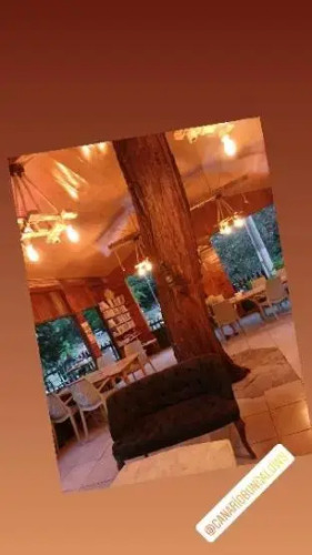 Canario Bungalows - Çıralı