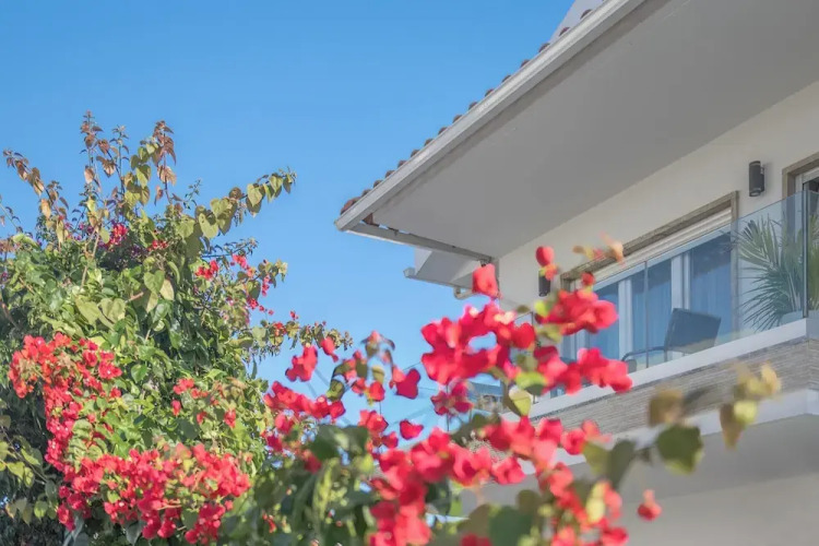 Gold Coast Photography Inn - Estoril