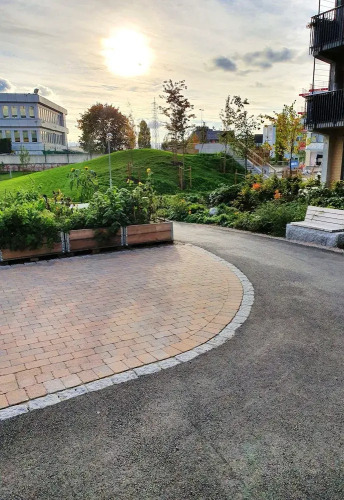 Oslo Golden Choice - Oslo