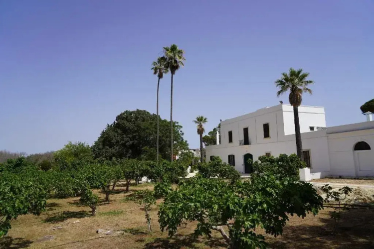 Filippo De Raho Agri Bio Relais - Salento