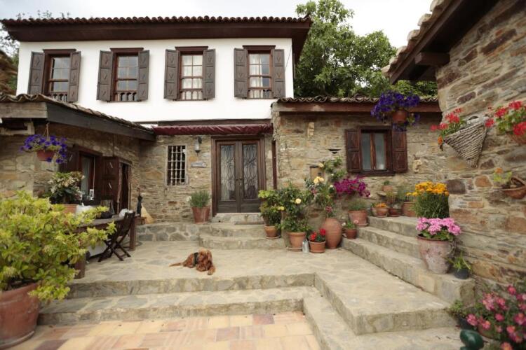 Terrace Houses Sirince - Fig, Olive And Grapevine - Şirince