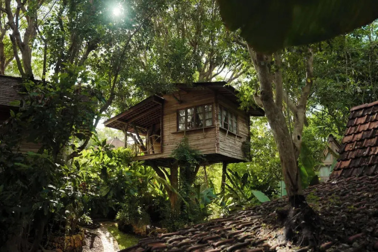 Roots Tree House - Bali