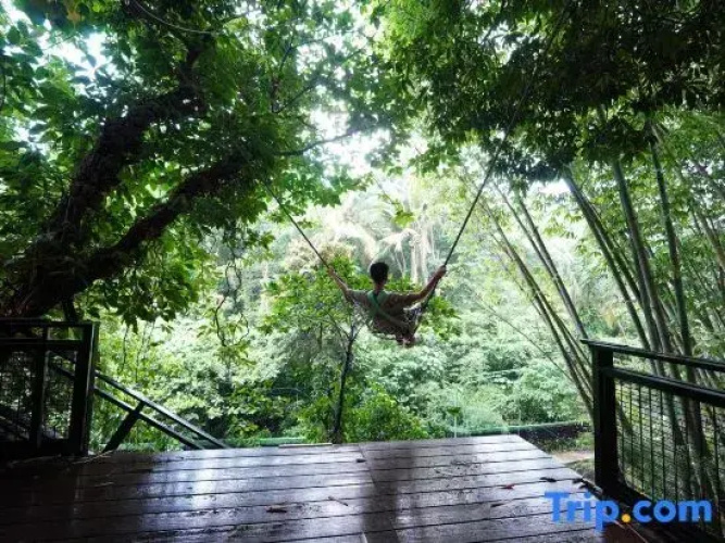 The Ravine By One Selah - Indang