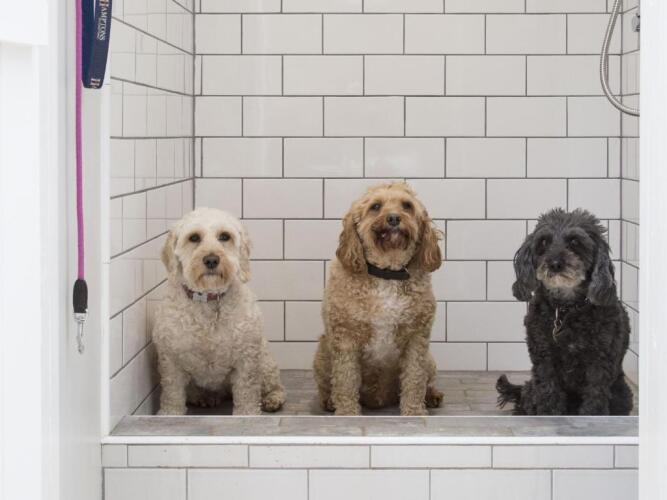 Forthay Bed And Breakfast - Forest of Dean