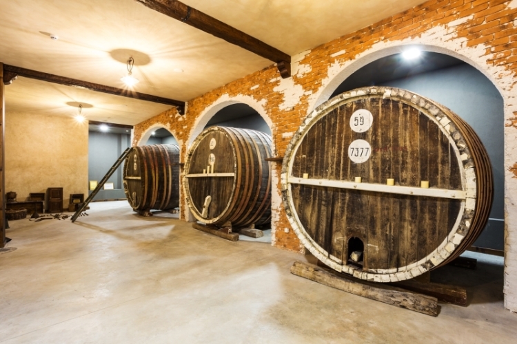 Via Pontica - Pomorie