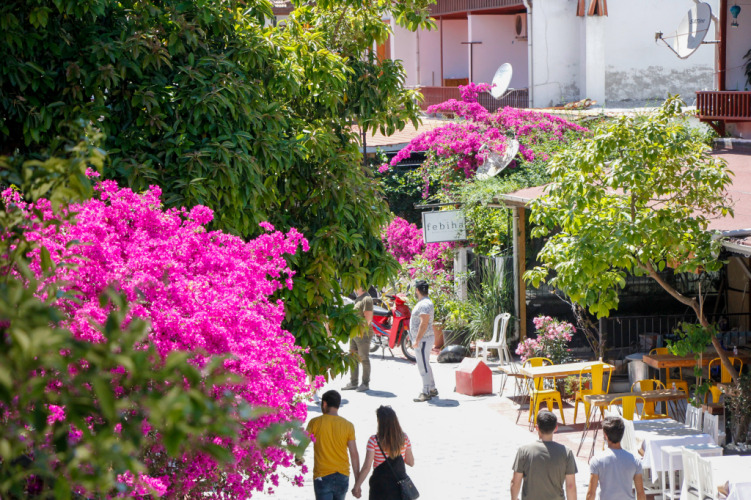 Limon Otel Akyaka - Akyaka