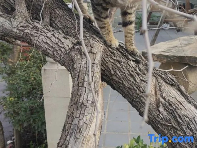 Zhongbang Tribe Homestay - Xiangyang