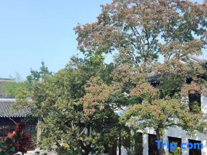 Xitang Keyuan Homestay - Shanghai