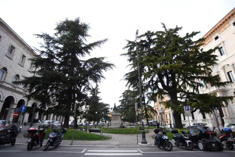 Suite Calderini - Perugia
