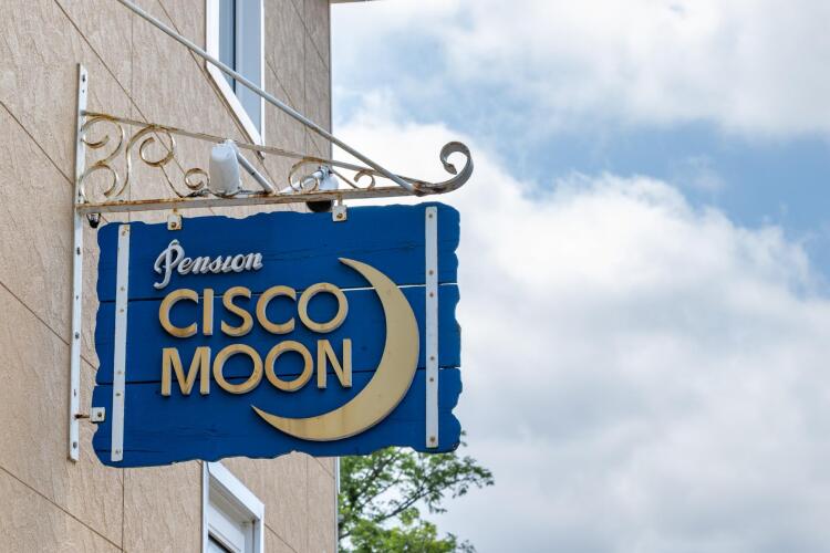 Cisco Moon - Niseko