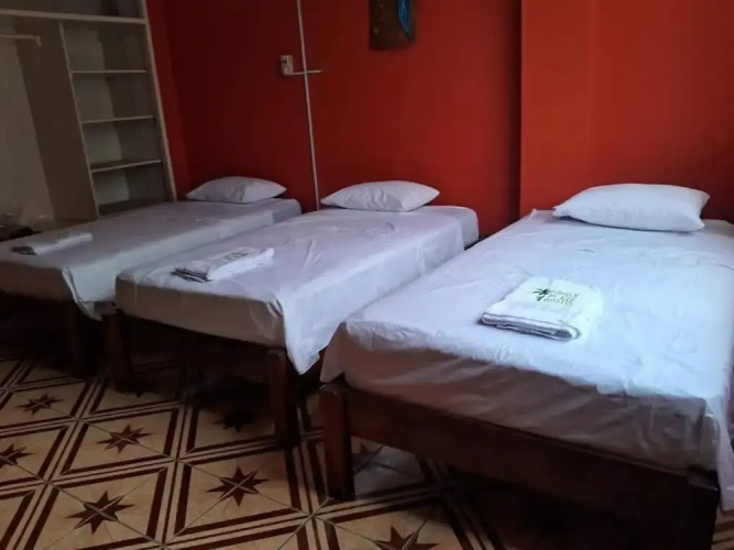 Plaza Jungle Hostel - Puerto Maldonado