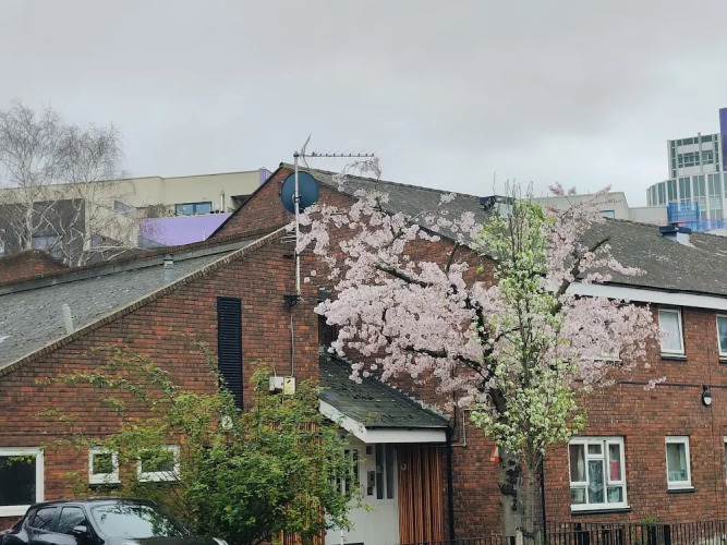 Adel's House - Central London