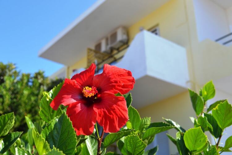 Yiannis Apartments - Kos