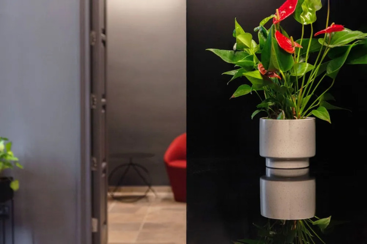 The Sendal Boutique Hotel - Nikosia