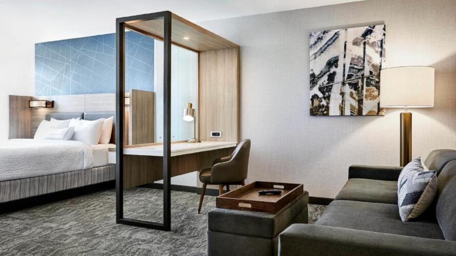 Springhill Suites By Marriott Suwanee Johns Creek - Johns Creek, GA