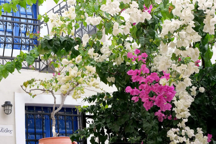 Kykladonisia Traditional Settlement - Santorini