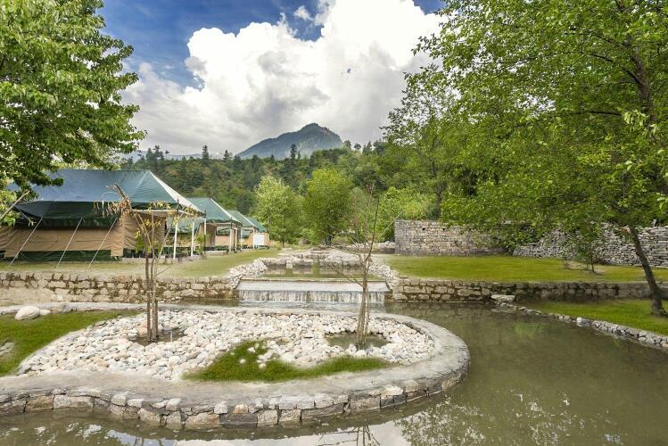 Tall Trees Resort - Manali