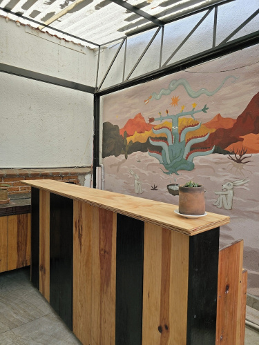 Casa Del ÁRbol Hostel Xochimilco - Oaxaca