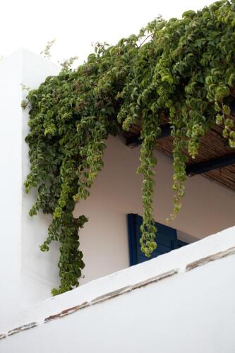 Antonina Hotel Apartments - Naxos