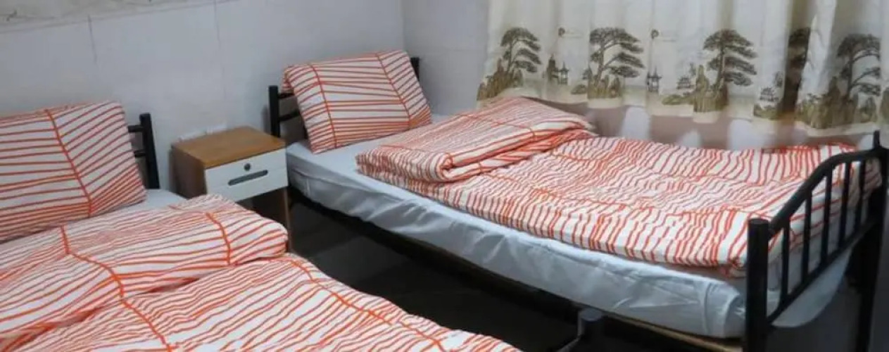 South & North House - South Island