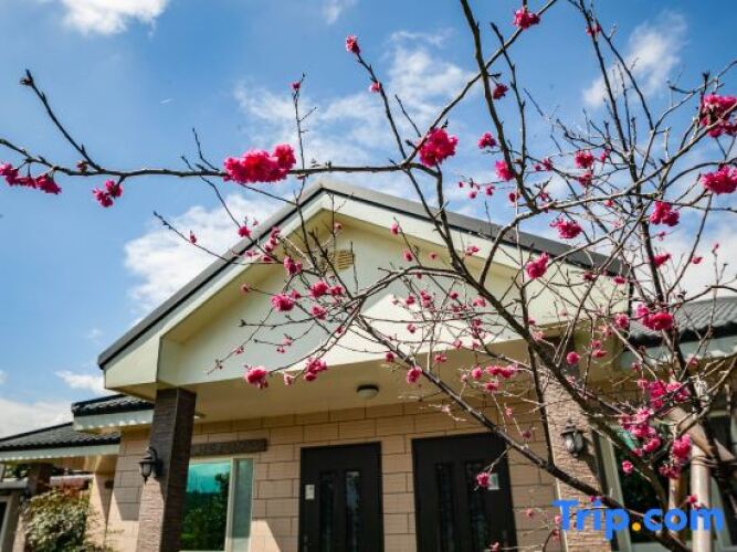 Countryside B&b - 완룽 향