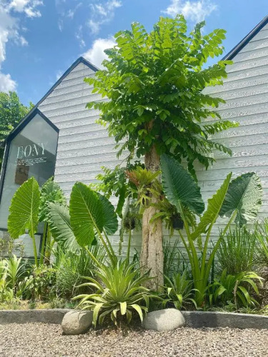 The Jungle Hostel Canggu - 