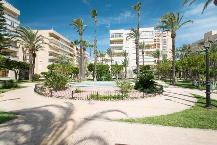 093 - Mil Palmeras Dream - Torrevieja