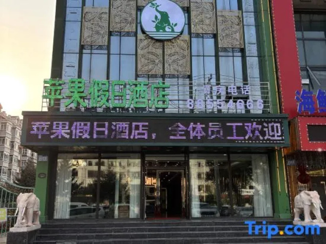 Pingguo Holiday Hostel (Harbin Jiangbei Wetland Park) - Harbin