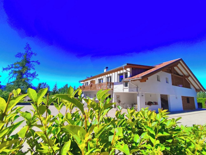 Vidora Apartments - Renon