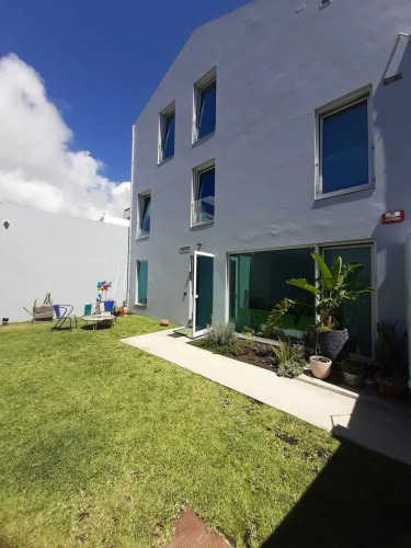 The Holy Cow - Hostel & Suites - Ponta Delgada
