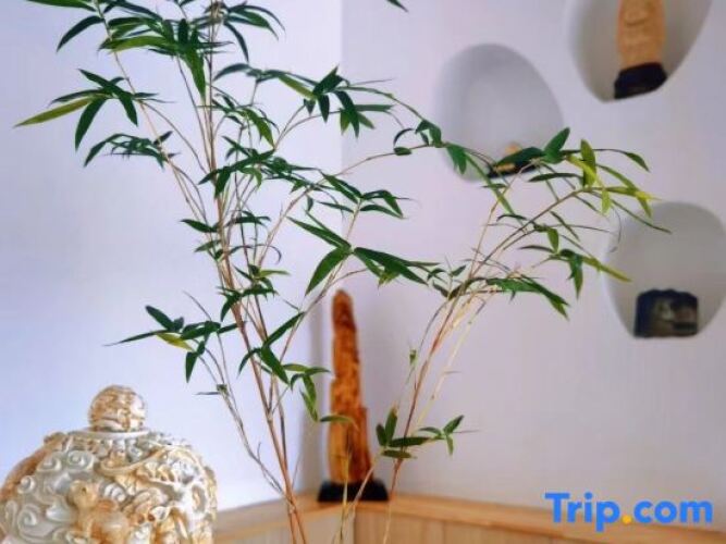 Chuzhou Ancient City Cidi Huahua Homestay - Xinzhou
