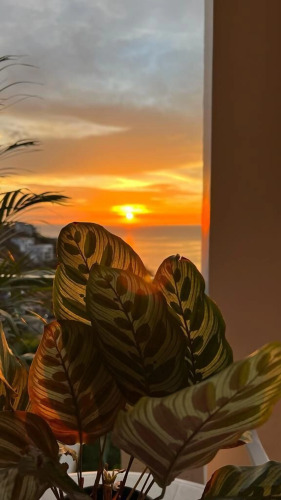 Tamarindo Beach Hostel - Santa Marta