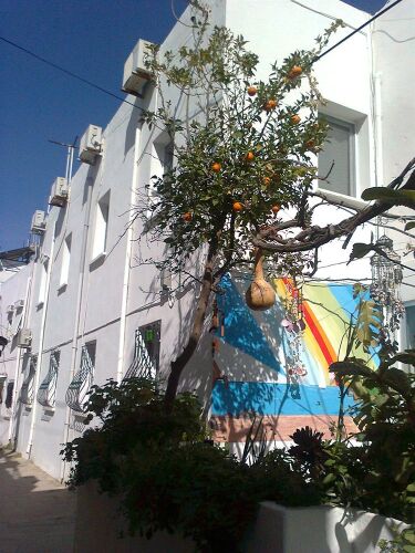 Myndos Pansiyon - Bodrum