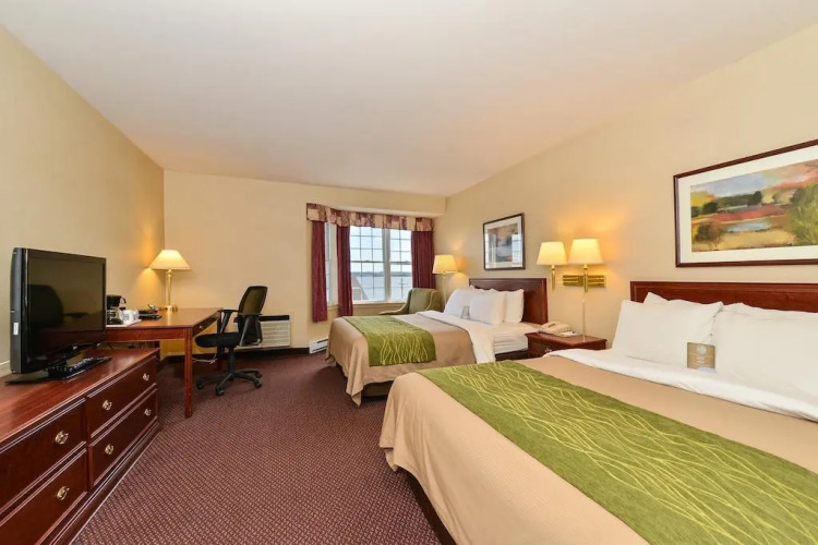 Econo Lodge & Suites - Halifax