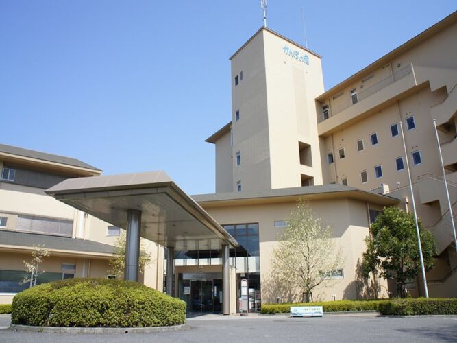 Kamenoi Hotel Hikone - Maibara