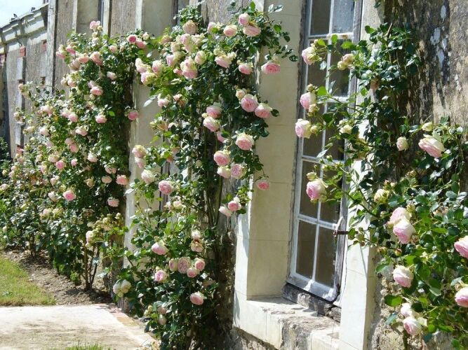 Château Des Lutz - Mayenne