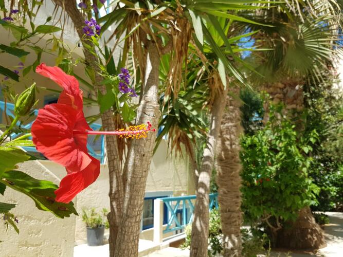 Galazio Beach Resort - Crete