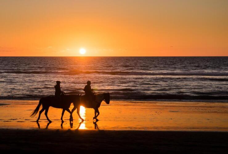 Résidence Saint Cyprien Plage - Korsika