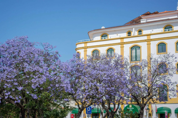 Loule Jardim Hotel - Algarve