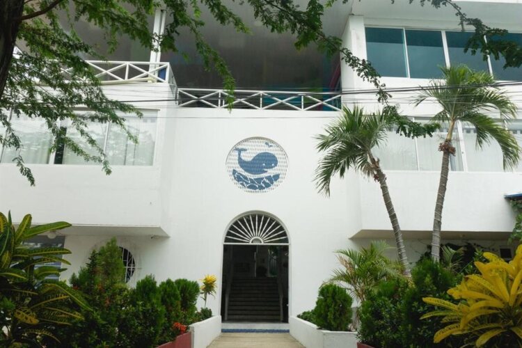 La Ballena Azul Hotel - Taganga