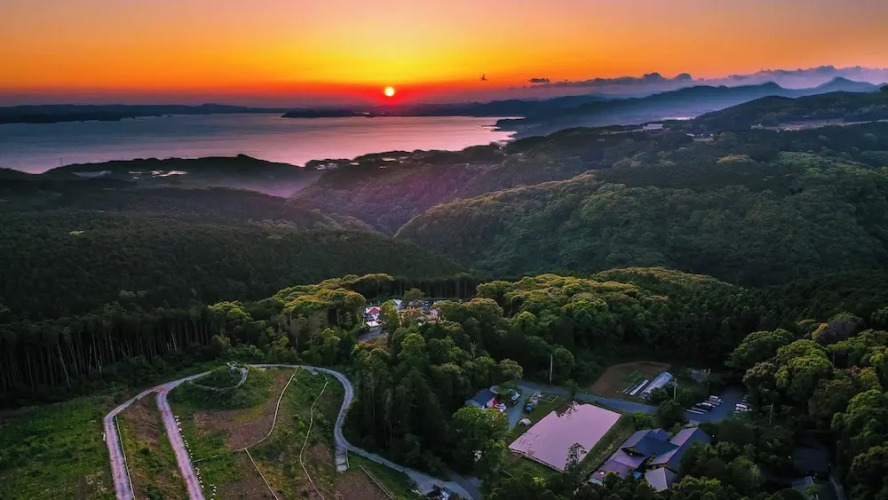 Tsuwabuki-no-hana - 長崎県