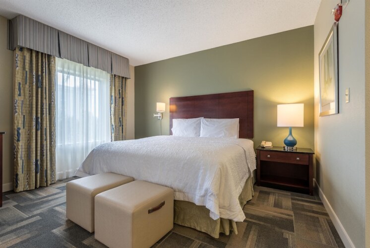 Hampton Inn & Suites Orlando-south Lake Buena Vista - Kissimmee