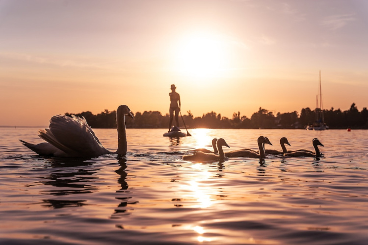 Velotique Hotel Angelika - Self-check-in - Bregenz