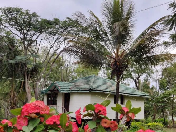 The Monarch Masinagudi By Mithun Hotels - Bandipur