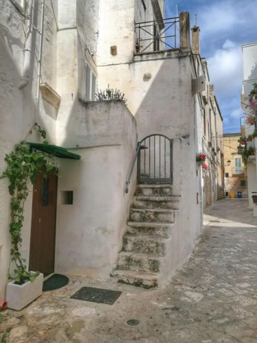 L' Edera - Fasano