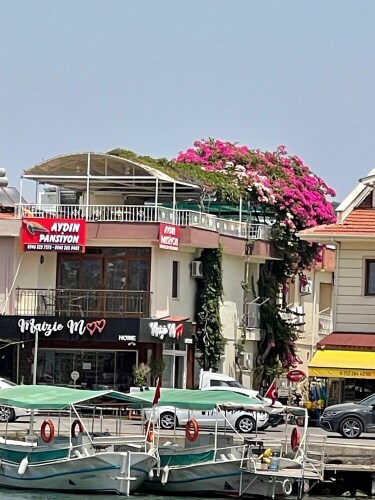 Aydin Pansiyon - Dalyan, Ortaca-Muğla