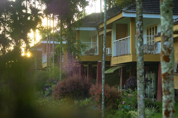 Karapuzha Village Resort - Kerala