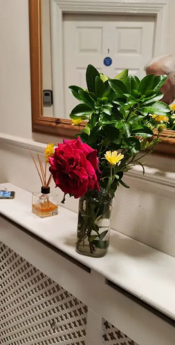 St Lucia Guest House - Leicester